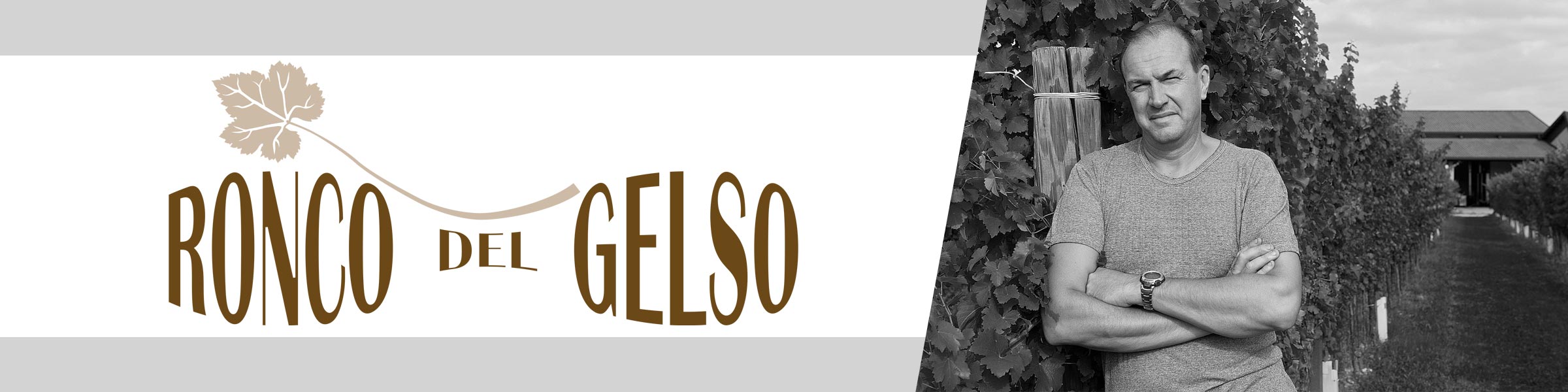 deuna GmbH KG | Ronco del Gelso | Distributeur von Weinen aus Italien ...